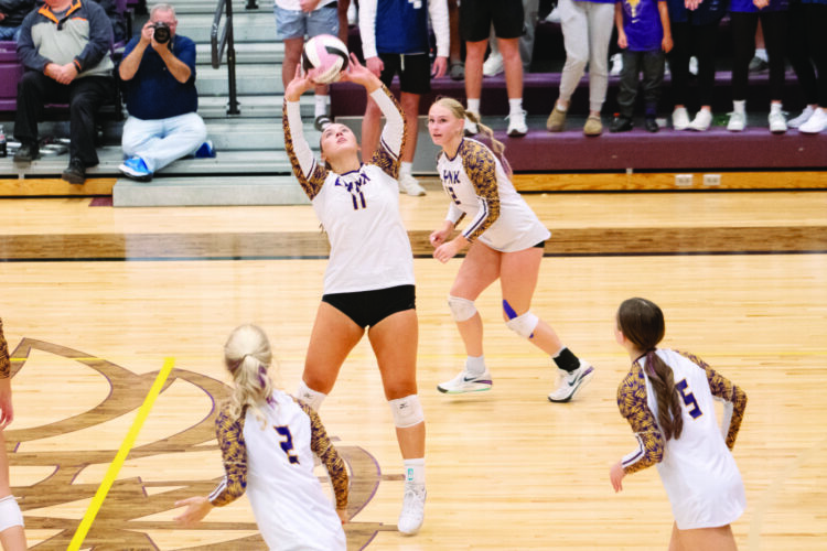 Valiant effort by Lynx comes up just short on Senior Night | News ...